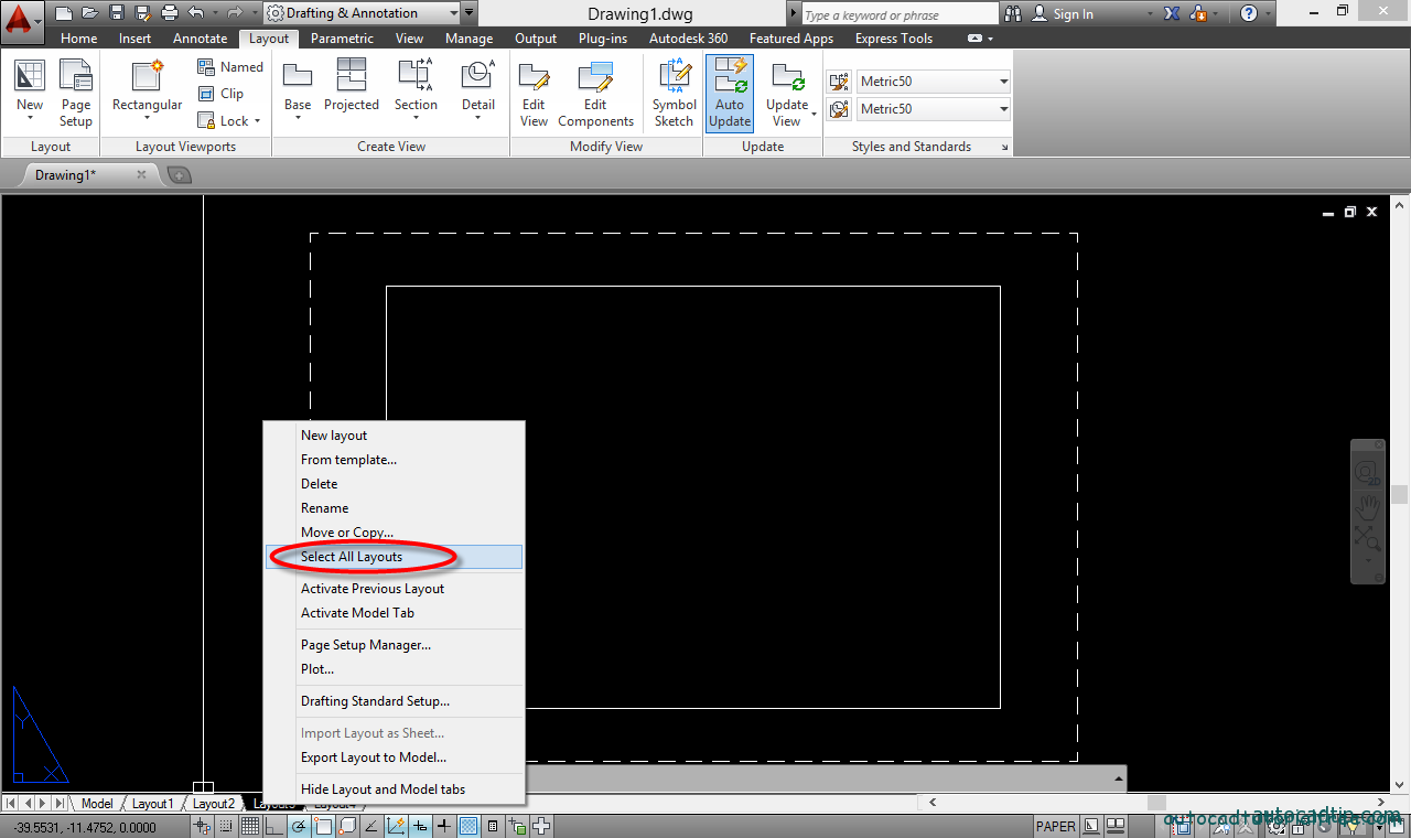 AutoCAD Layout Select All Layouts Delete Rename Duplicate Layout